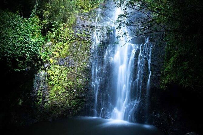 Full Day Private Maui Waterfall, Beach & Hana Tour - An In-Depth Look at the Tour Experience