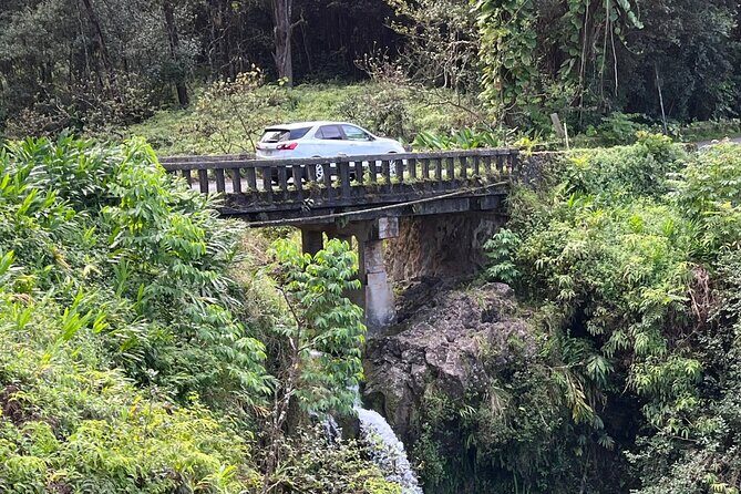 Full Day Private Maui Waterfall, Beach & Hana Tour - FAQ