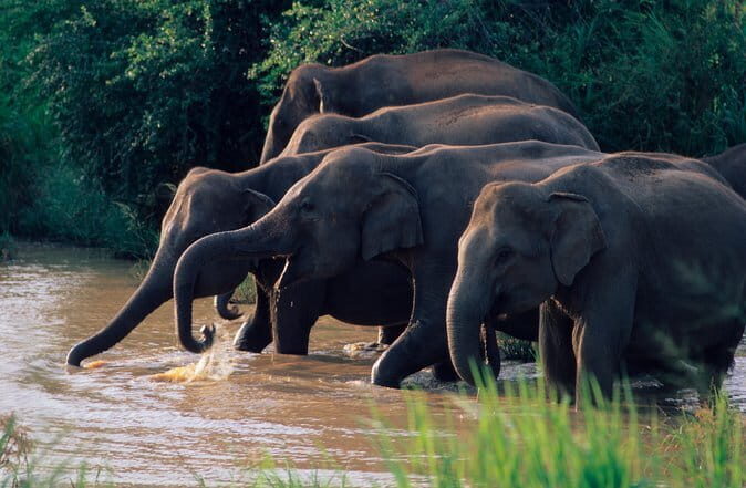 Full Day Private Nature Tour in the Hidden Gems of Sri Lanka - What’s Included & What to Consider