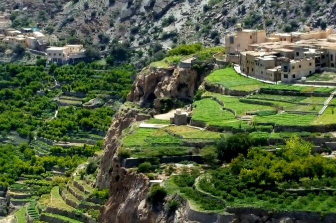 Full Day Private Nizwa/Jebel Akhdar - What Makes This Tour Stand Out?