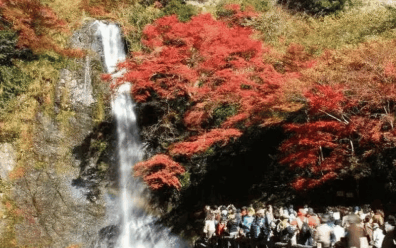 Full Day Private Osaka City Tour With Englishspeaking Guide - Osaka Castle Tour