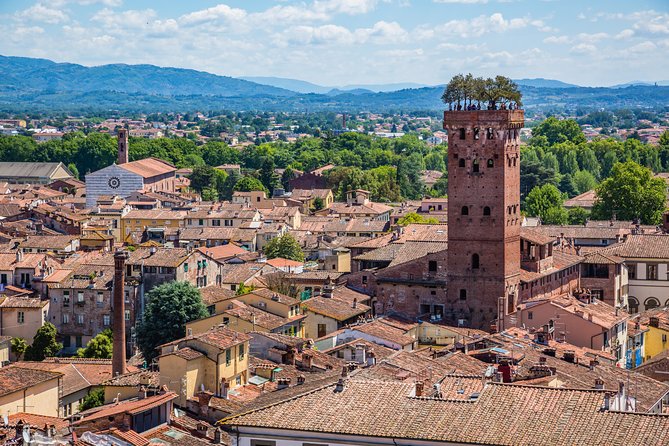 Full-Day Private Pisa and Lucca Tour From Florence - Customer Reviews and Feedback