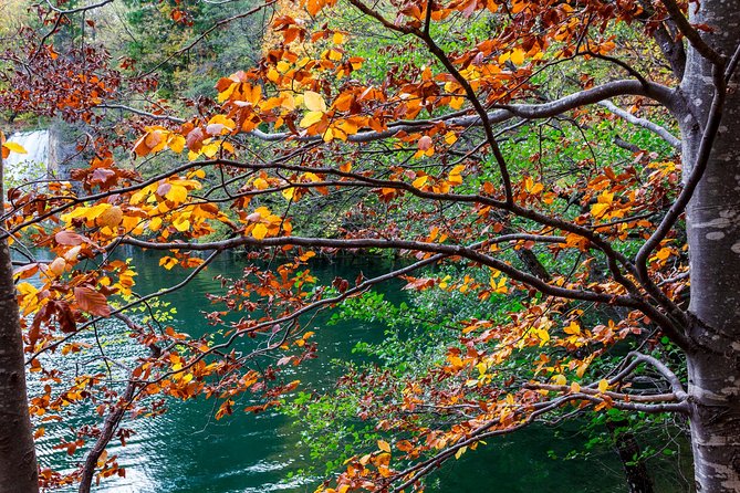 Full-Day Private Plitvice Lakes National Park Tour From Split - Highlights of the Plitvice Lakes National Park
