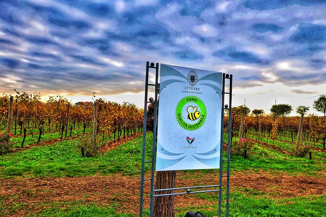 Full day Private Prosecco Tour, with certified Sommelier - FAQs