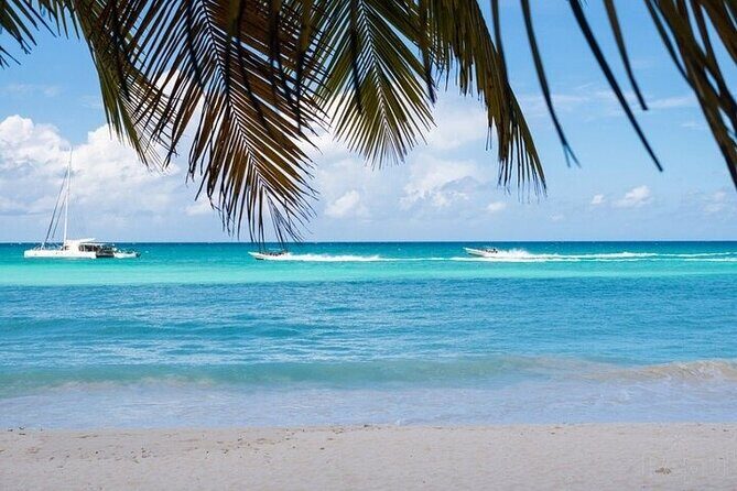 Full-Day private Punta Cana saona Tour by Speedboat - The Itinerary in Detail