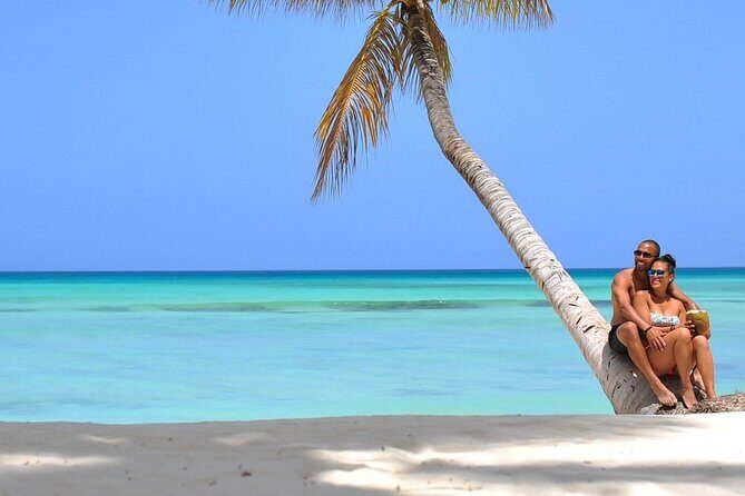 Full-Day Private punta cana saona Tour by Speedboat - Practical Considerations