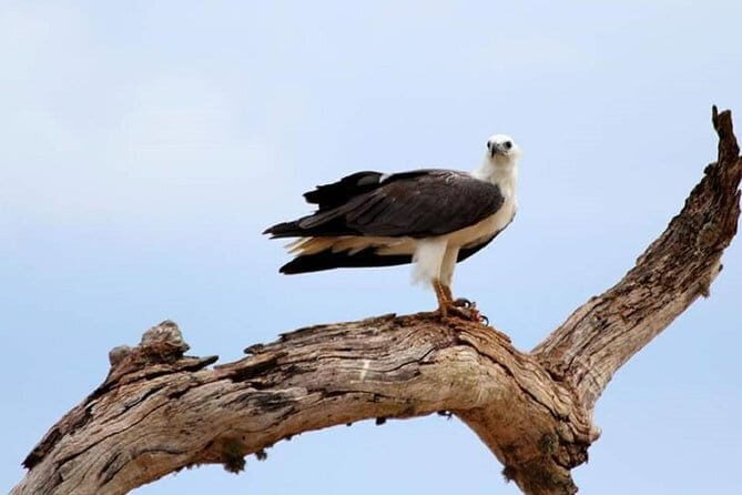 Full Day Private Safari at Yala National Park by La Safari Inn Tours - Why This Tour Offers Great Value