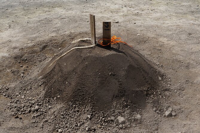 Full-Day Private São Miguel Tour with Furnas and Hot springs - Authenticity and Reviews