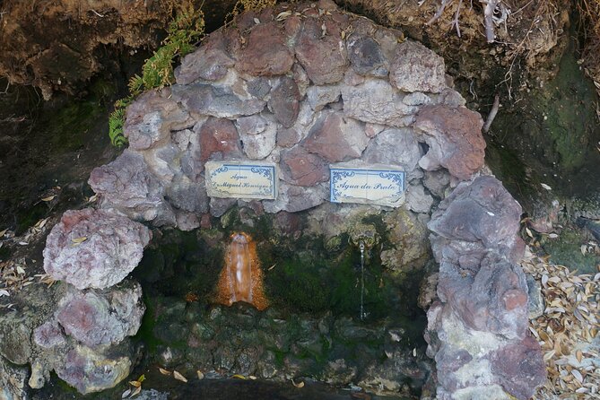 Full-Day Private São Miguel Tour with Furnas and Hot springs - The Sum Up