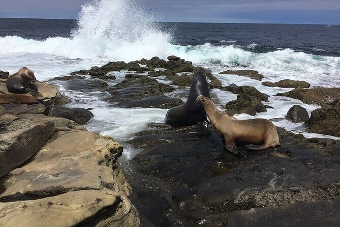 Full Day Private SD Tour from Del Mar - Discovering San Diego’s Past in the Gaslamp Quarter and Coronado
