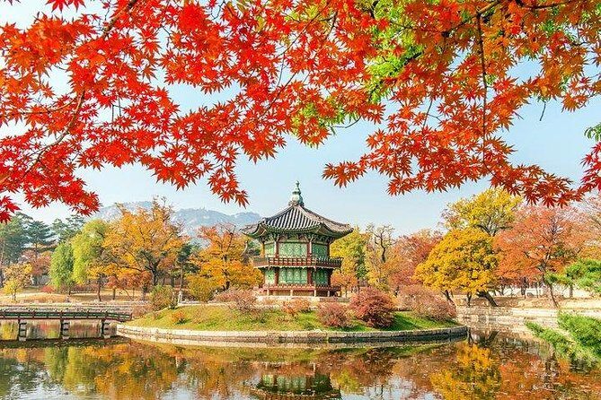 Full Day Private Seoul Tour for foodies - Who Will Love This Tour?