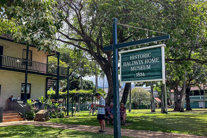 Full Day Private Shore Excursion in Maui from Lahaina Cruise Port - The Sum Up
