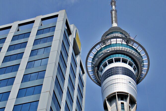 Full Day Private Shore Tour in Auckland from Auckland Cruise Port - The Sum Up