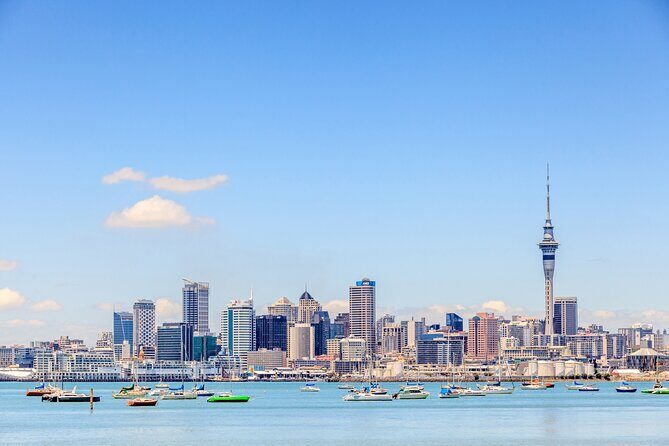 Full Day Private Shore Tour in Auckland from Bay Of Islands Port - Key Points
