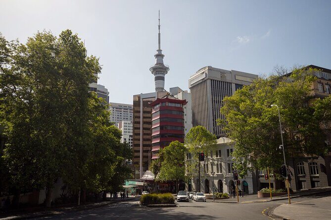 Full Day Private Shore Tour in Auckland from Bay Of Islands Port - Why This Tour Offers Good Value