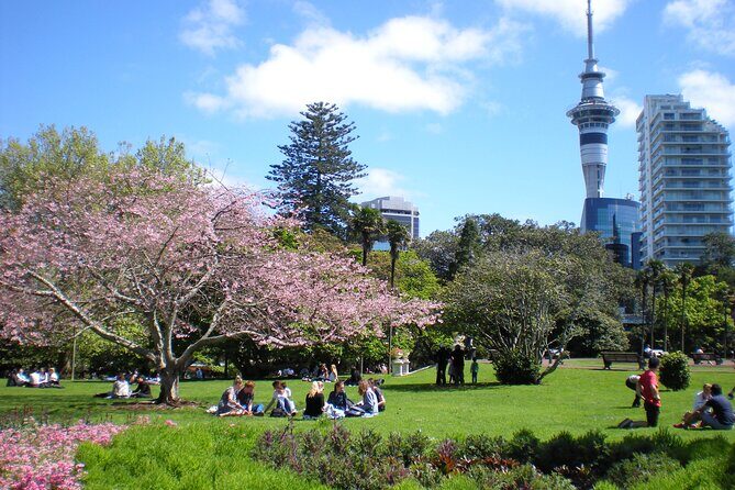 Full Day Private Shore Tour in Auckland from Tauranga Cruise Port - Key Points