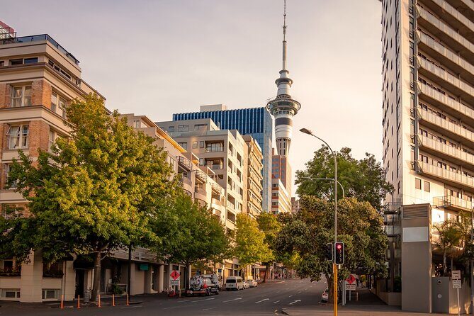 Full Day Private Shore Tour in Auckland from Tauranga Cruise Port - Authentic Experiences and Highlights
