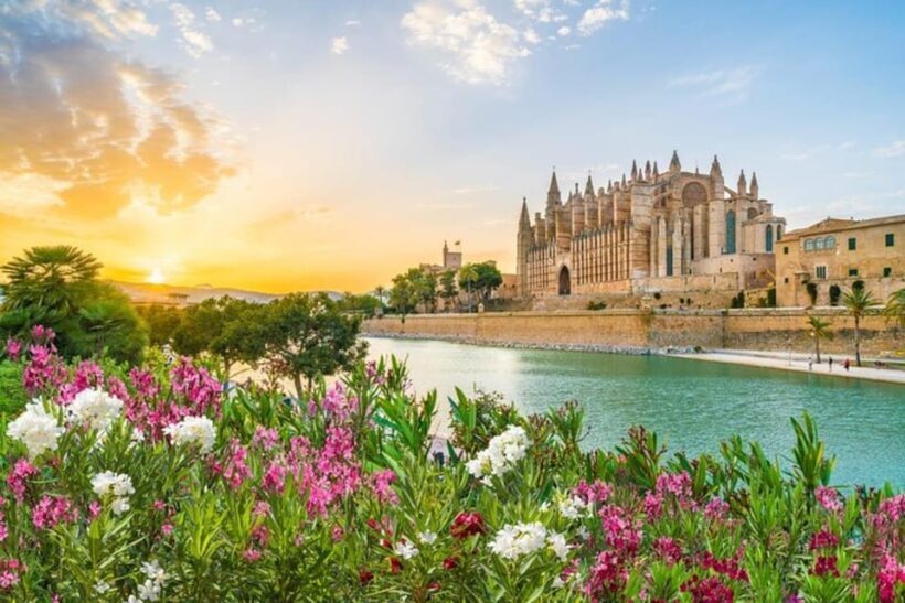 Full Day Private Shore Tour in Palma de Mallorca from Port - Introduction: Why Consider a Private Shore Tour in Palma?
