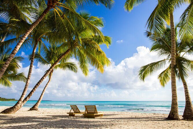 Full Day Private Shore Tour in Punta Cana from La Romana Port - Full Day Private Shore Tour in Punta Cana from La Romana Port