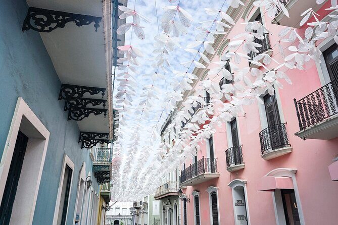 Full Day Private Shore Tour in San Juan from Ponce Cruise Port - Final Thoughts