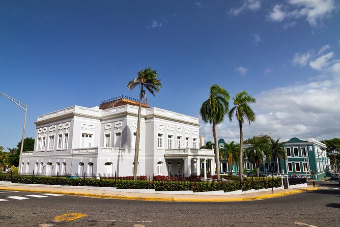 Full Day Private Shore Tour in San Juan from San Juan Puerto Port - The Balance of Pros and Cons