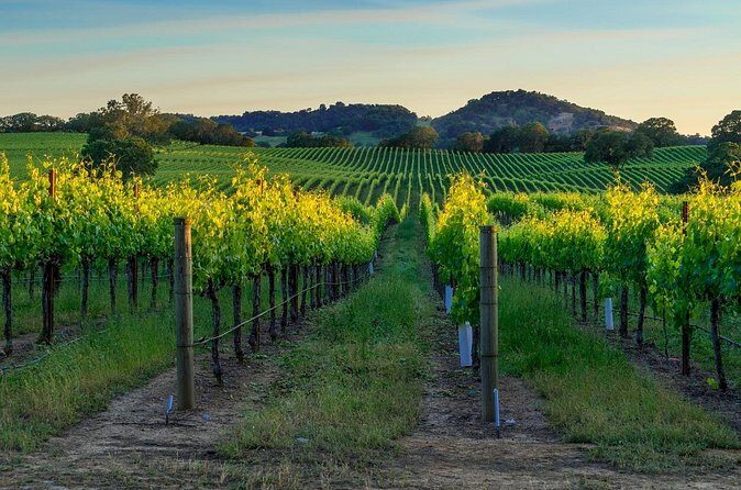 Full-Day Private Sonoma Valley Wine Tour from San Francisco - FAQ