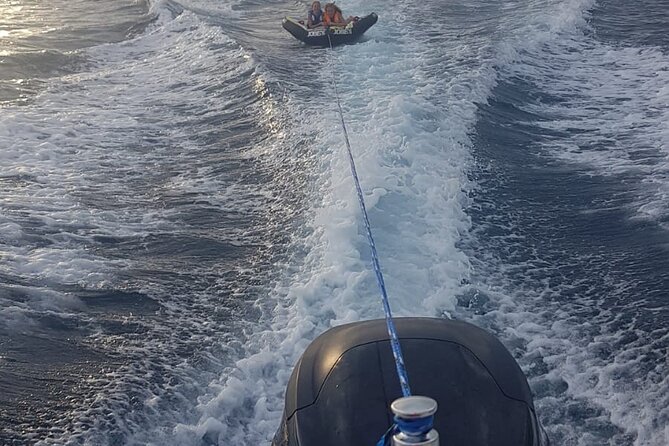 Full- Day Private Speedboat Tour in Dubrovnik on Elaphiti Islands - Accessibility and Participation