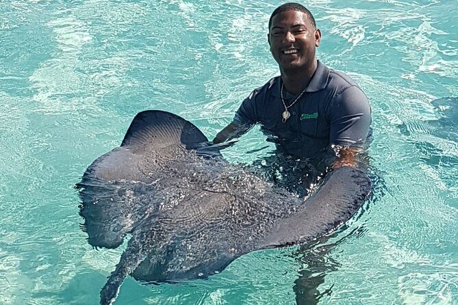 Full-Day Private Stingray City Snorkeling and Starfish Beach Tour - Why This Tour Shines