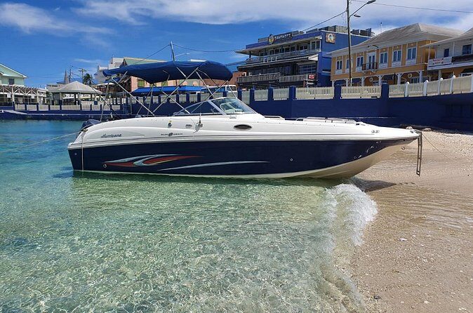 Full-Day Private Stingray City Snorkeling and Starfish Beach Tour - Final Thoughts