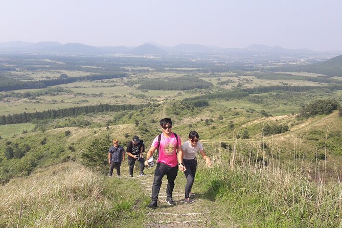 Full-Day Private Taxi Tour South of Jeju Island - FAQs