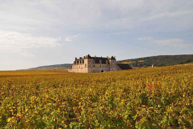 Full Day Private Tour 10 Premiers & Grands Crus, The Best of Burgundy - Pricing and Availability