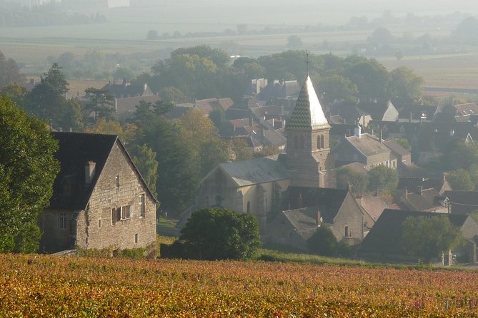 Full Day Private Tour 10 Premiers & Grands Crus, The Best of Burgundy - Customization Options