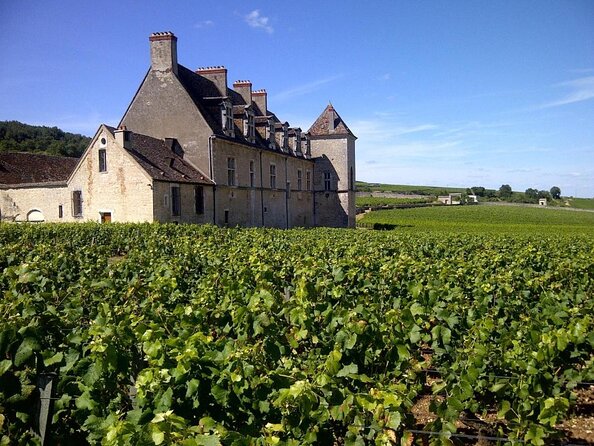 Full-Day Private Tour, 6 Premiers & Grands Crus, The Best of Burgundy - Wine Tastings and Experiences