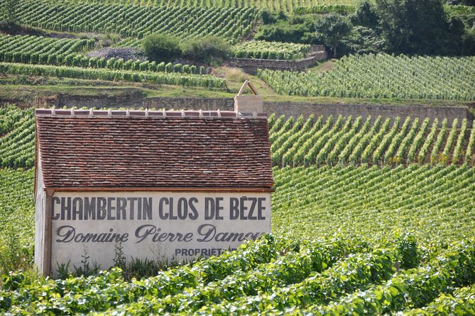 Full-Day Private Tour, 6 Premiers & Grands Crus, The Best of Burgundy - Behind-the-Scenes Wine Cellar Tour