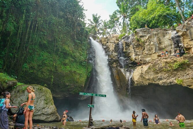 Full Day Private Tour All Inclusive Hidden Gems Bali Waterfall - What to Expect from the Itinerary