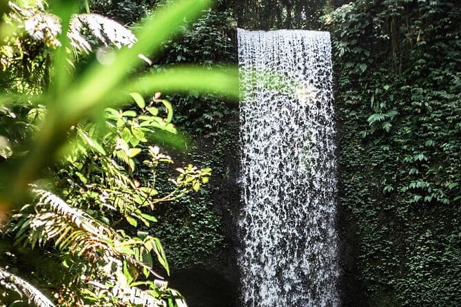 Full Day Private Tour All Inclusive Hidden Gems Bali Waterfall - Authenticity and Uncrowded Beauty