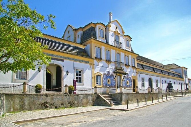 Full Day Private Tour - Arrábida Beaches and Azeitão Wine Region - Final Thoughts