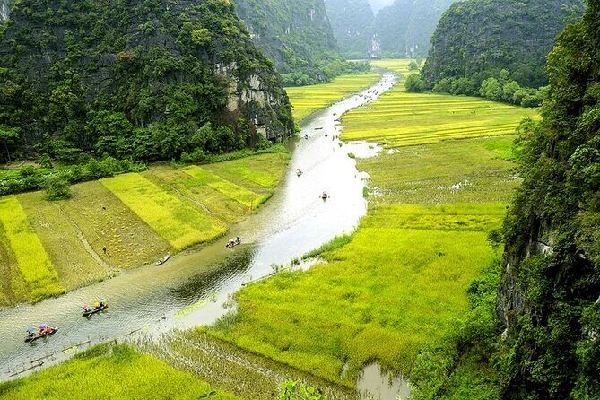 Full Day Private Tour: Explore Ninh Binh Province - An In-Depth Look at the Experience