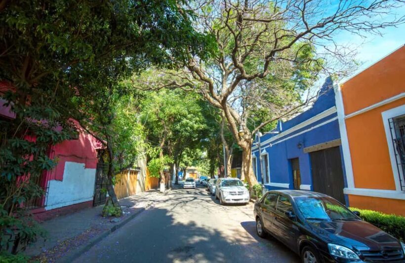Full-day private tour from Mexico city to Coyoacán - The Sum Up