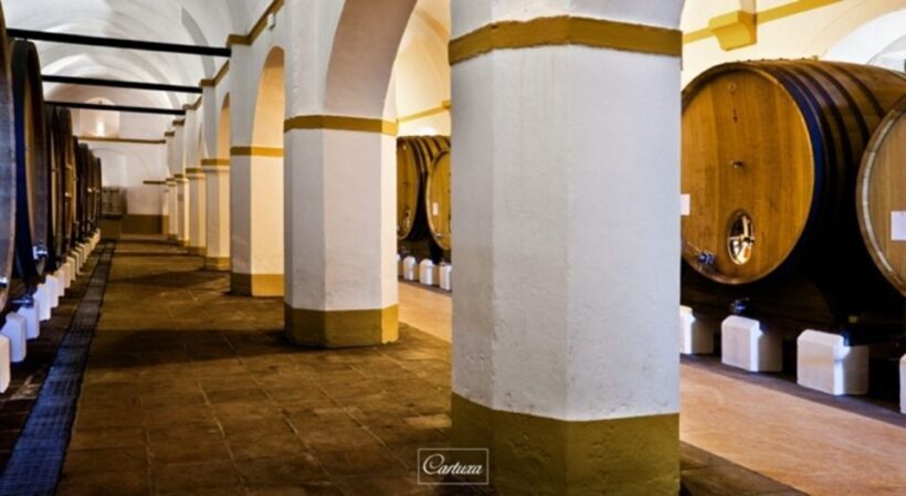 Full-Day Private Tour in Évora with Winery Tour from Lisbon - Key Points