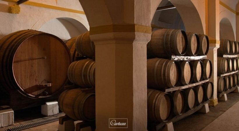 Full-Day Private Tour in Évora with Winery Tour from Lisbon - Discovering Évora: What’s Included and What’s Not