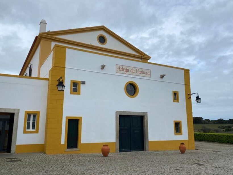 Full-Day Private Tour in Évora with Winery Tour from Lisbon - Who Is This Tour Best For?