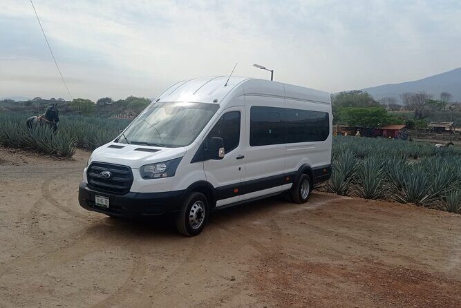 Full-Day Private Tour in Guadalajara - Insights from Travelers
