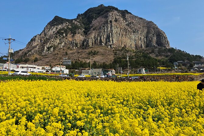 Full-Day Private Tour in Jeju Island - FAQs
