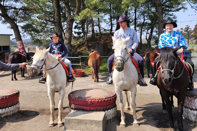 Full-Day Private Tour in Jeju Island - FAQ