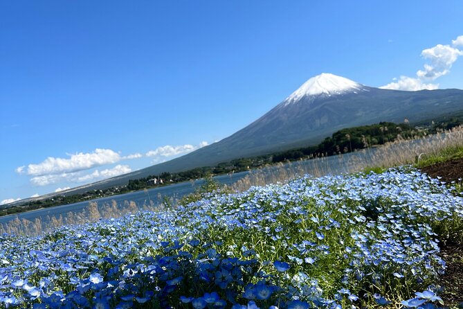 Full Day Private Tour in Mount Fuji and Hakone - Meeting and Pickup