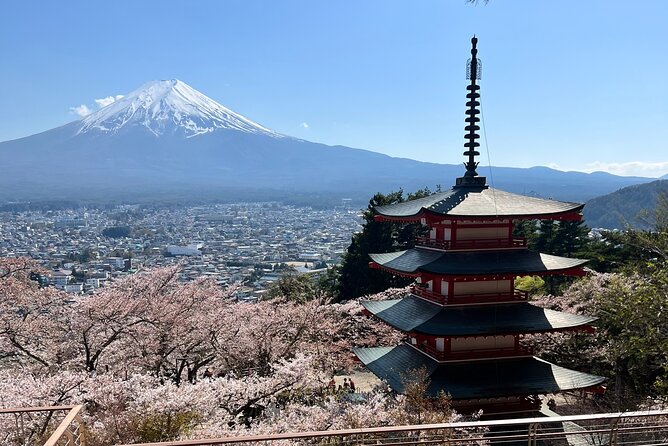 Full Day Private Tour in Mount Fuji and Hakone - Itinerary