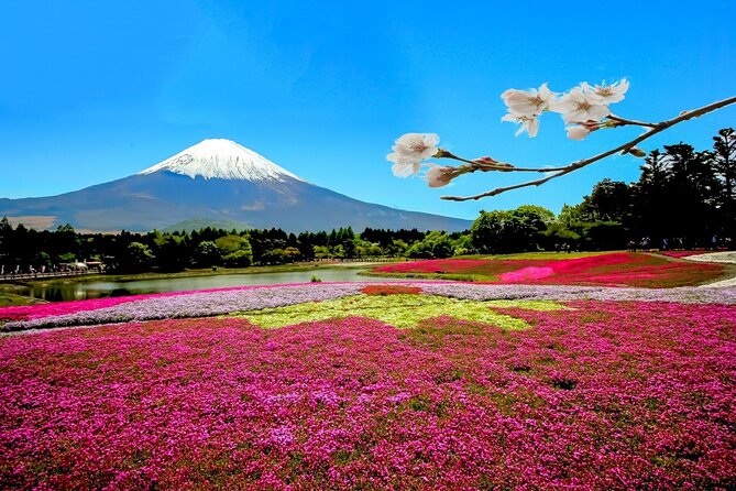 Full Day Private Tour in Mt. Fuji and Hakone - Itinerary Highlights