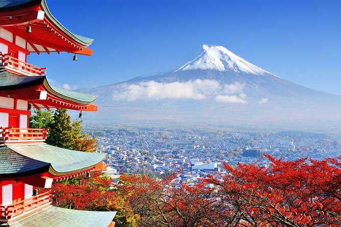Full Day Private Tour in Mt. Fuji and Hakone - Guest Experiences and Feedback