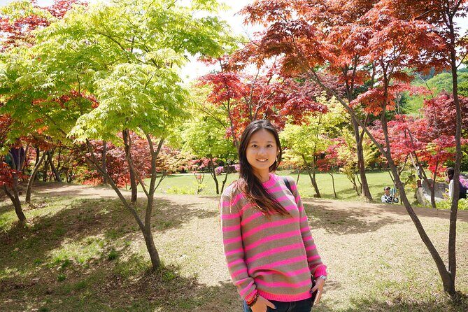 Full Day Private Tour in Nami Island - What Makes This Tour Stand Out